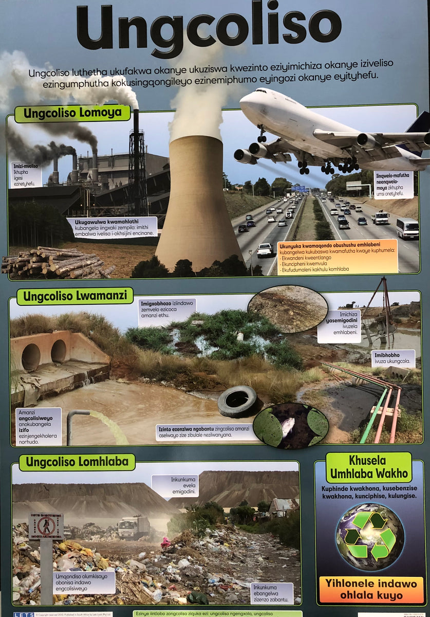 Chart - Ungcoliso (Xhosa) Pollution – edu-options