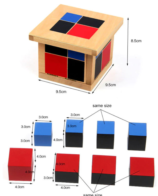 Binomial Cube – edu-options