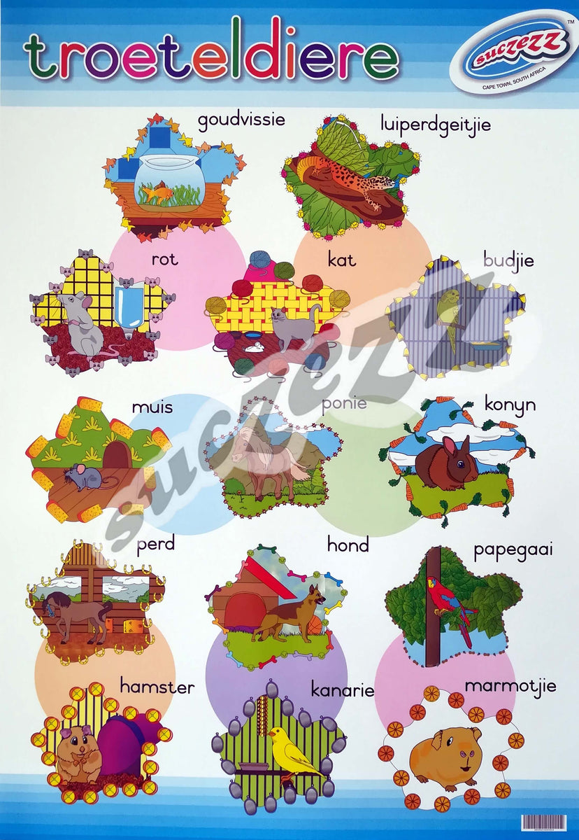 Chart- Troeteldiere (Afrikaans) – edu-options